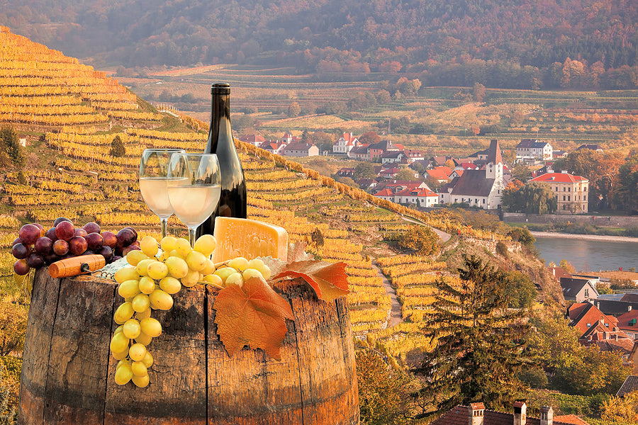 The Remarkable Renaissance Of The Austrian Wine Industry – Lloyd's ...